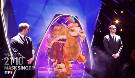 Mask Singer qui se cache derrière le Chameau Indice Stars Actu