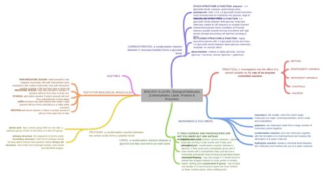 Biology A Level Biological Molecules Carbohydrates Lipids Proteins