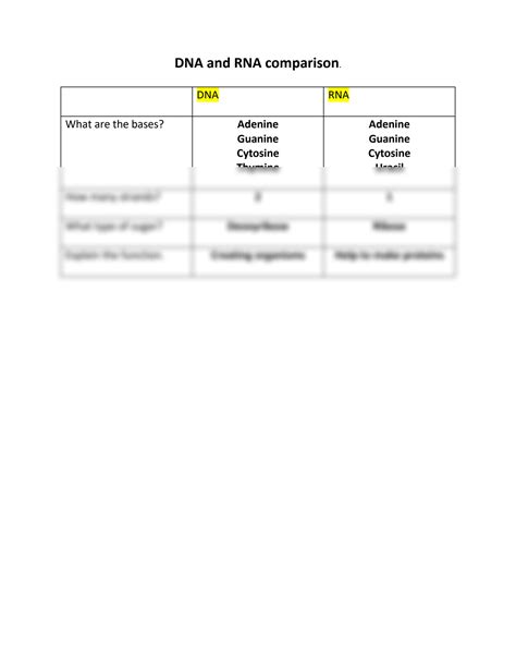 Solution Dna And Rna Comparison Studypool