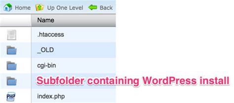 How Do I Move WordPress In A Subdomain To The Root