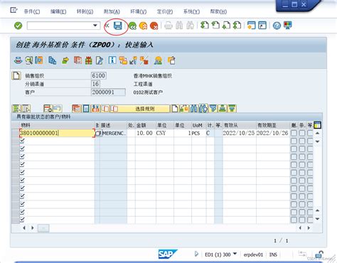 【sap Abap】记录一次完整的bdc录屏开发sap Bdc录屏 Csdn博客
