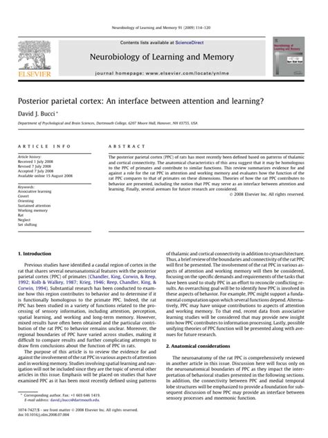 posterior parietal cortex an interface between attention and learning