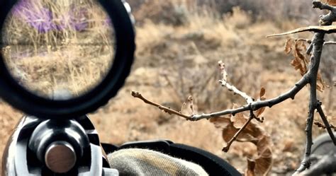 The Ultimate Guide To Choosing The Perfect Rifle Scope For Every