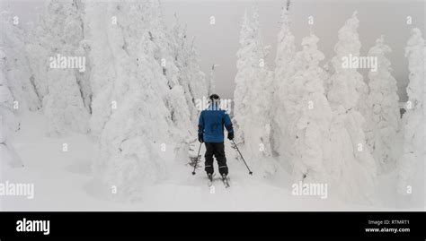 Tourist Skiing In Sun Peaks Resort Sun Peaks Kamloops British