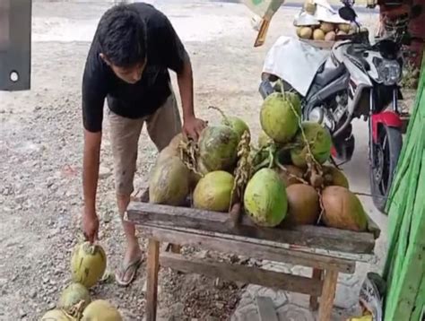 Kemarau Bawa Berkah Pedagang Es Kelapa di Pringsewu – Kutipan