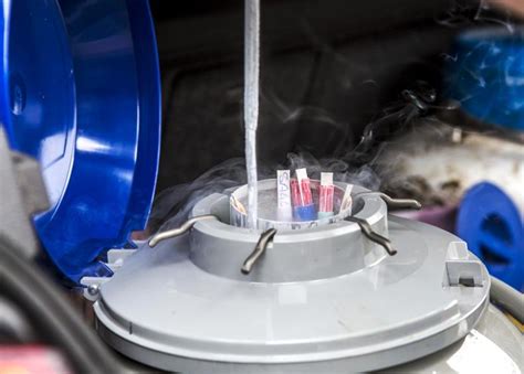 Sexed Semen Use Set To Grow Further Premium