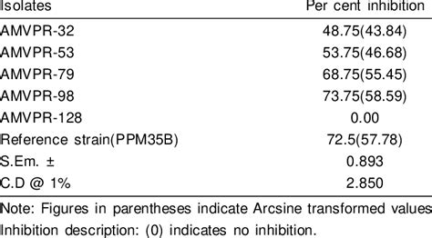 In Vitro Screening Of Rhizobium Isolates Against Fusarium Oxysporum F