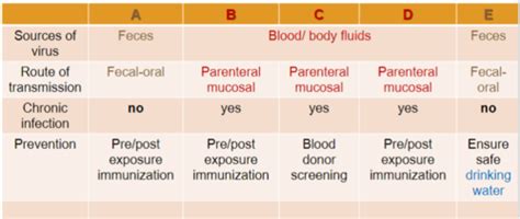 Viral Hepatitis Flashcards Quizlet Viral Hepatitis Flashcards Quizlet