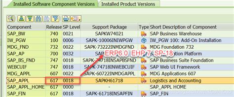 sap增强包（ehp）和支持包（sp）的区别 sap ehp4 ehp6 有什么区别 csdn博客