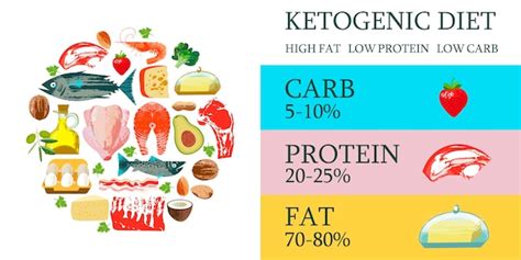 Premium Vector Ketogenic Diet A Large Set Of Products For The Keto
