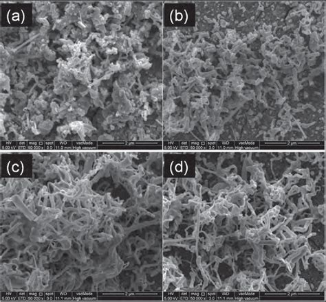 Figure 2 From Magnesium Doped Zno Nanostructures Synthesis Using Citrus Aurantifolia Extracts