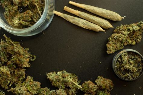 Plantilla De Fondo De Diseño De Concepto De Marihuana Con Espacio De