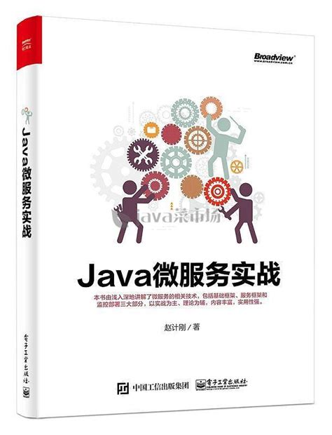 Java微服务实战 赵计刚著 PDF下载 java菜市场