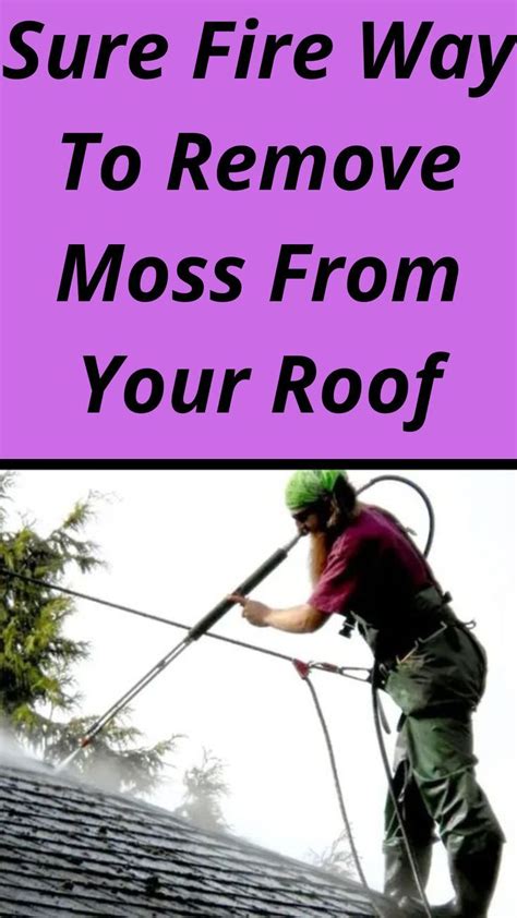 Heres The Easiest Way To Remove Annoying And Damaging Moss From Your