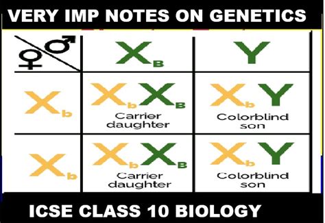 Genetics Notes For Icse Class 10 Biology Ch 3 Icsehelp