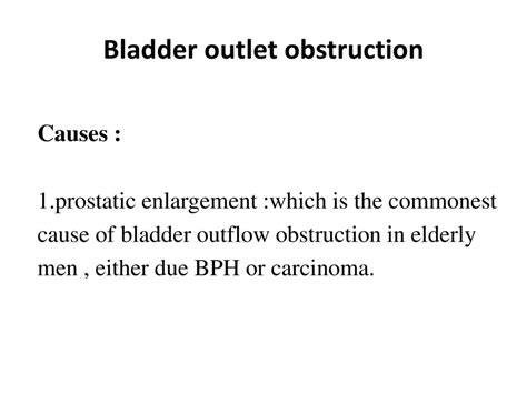 Infections Of The Urinary Tract Lecture 3 Ppt Download
