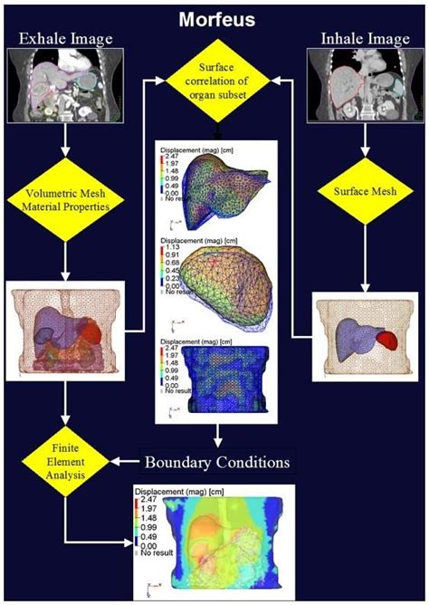 Morfeus Lab MD Anderson Cancer Center