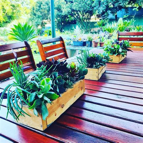 Tania Prinsloo On Linkedin Plants Decorations Gardening Forever
