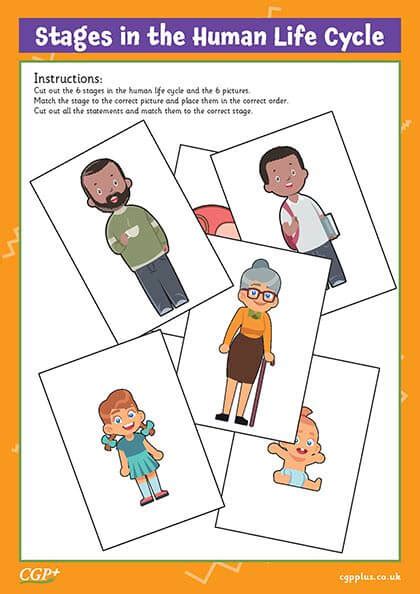 Human Life Cycle Activities