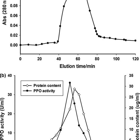 Chromatographic Elution Profile A And Enzyme Activity Peak B Of Ppo