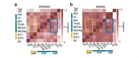 Pairwise Correlation Matrices Of White Matter Tract Microstructure