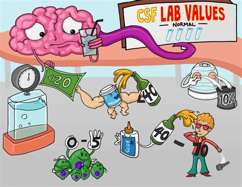 Csf Animation