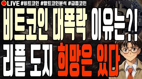실시간 비트코인 대폭락이유는 리플 도지코인 희망은 있다 엑스알피 블라스트 솔레이어 에스티피 블러 에이다 알트코인 폭락