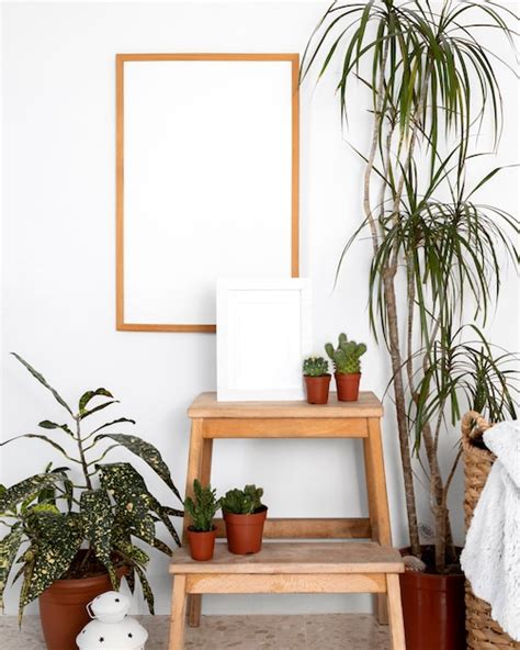 Free Photo Assortment With Different Empty Frames Indoors