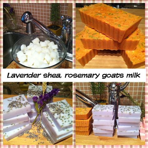 Diy Lavender Shea And Rosemary Goats Milk Soap Goat Milk Lavender