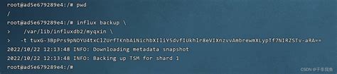 Docker安装influxdb及备份恢复influxdb恢复所有数据 Csdn博客
