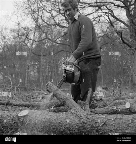 A Man In A Wood Cutting Up Tree Branches With A Petrol Chainsaw Stock Photo Alamy