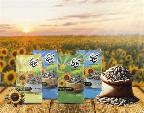 قیمت و خرید تخمه آفتابگردان عمده با کیفیت تیر 1404