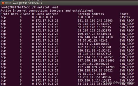 计算机网络安全实验 Tcp协议漏洞利用tcp漏洞 Csdn博客