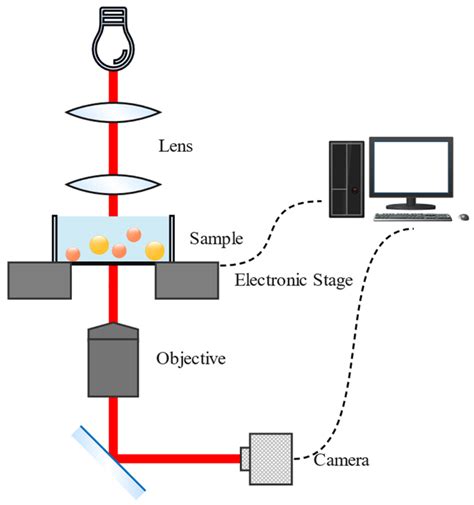 Real Time D Tracking Of Multi Particle In The Wide Field Illumination Based On Deep Learning