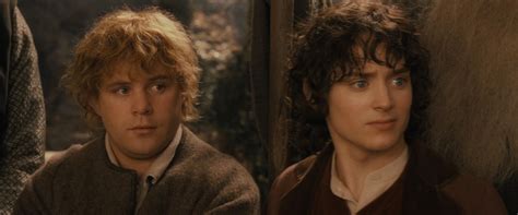 Lotr Fellowship Of The Ring Frodo And Sam Photo 36084495 Fanpop