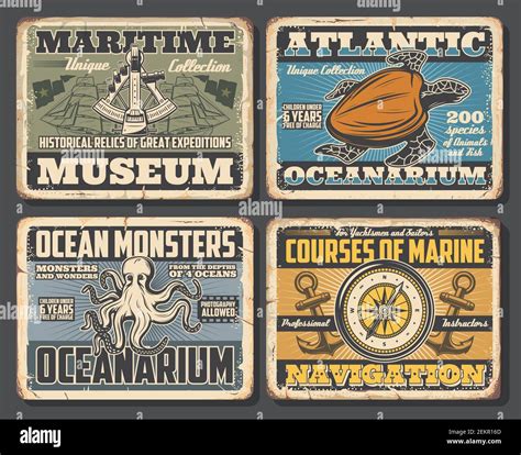 Vector Maritime Museum Of Ships And Naval Boat Ocean Turtle And