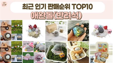 애완돌 반려석 Top 10 Youtube
