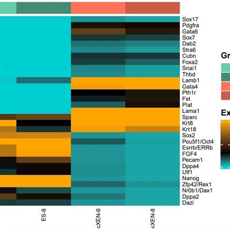 Nanostring Gene Expression Analysis A Heatmap Nanostring Analysis Of