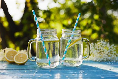 Apfel Himbeer Limonade Rezept