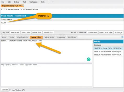 How To Find Salesforce Org Id Salesforce Faqs