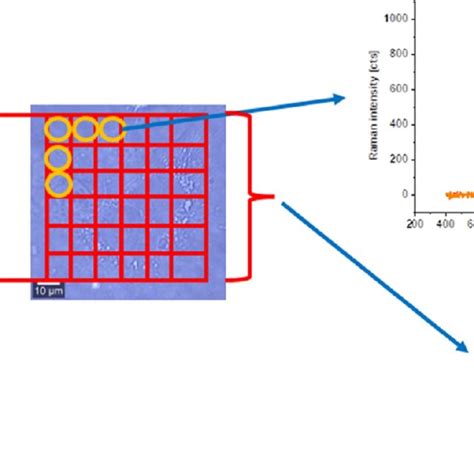 Schematic Comparison Of Raman Single Spectra And Raman Imaging Modes Of
