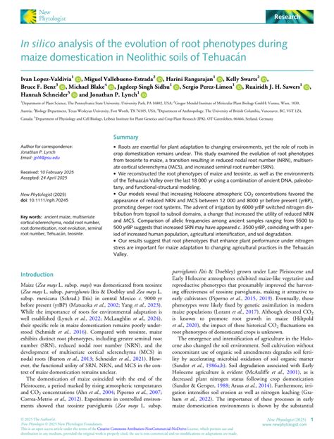 Pdf In Silico Analysis Of The Evolution Of Root Phenotypes During Maize Domestication In