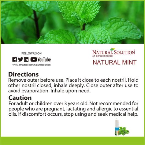 Buy Online Himalayan Pink Salt Nasal Inhaler Mint Wbm Natural Solution