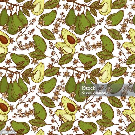 아보카도 품종 벡터 완벽 한 패턴입니다 손으로 그려 아보카도의 다른 종류 캘리포니아 열 대 과일와 배경입니다 음식 배경 0명에 대한 스톡 벡터 아트 및 기타 이미지 Istock