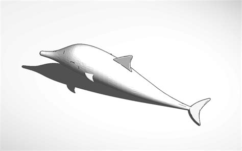 3d Design Dolphin Tinkercad