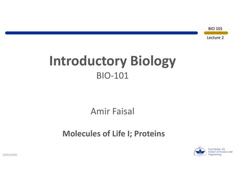 Solution Introductory Biology Lecture 2 Molecules Of Life Protein
