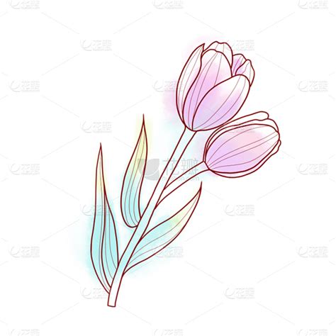 手绘线稿玫瑰花元素