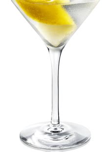 Classic Gin Martini Drink Guy