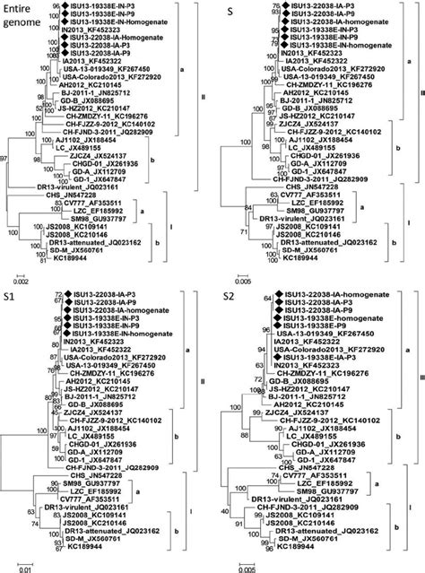 Phylogenetic Analysis Of The Full Length Genome S Gene S1 Portion S2