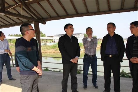 汪侃到养贤乡调研芜宣机场建设工作 宣城市宣州区人民政府